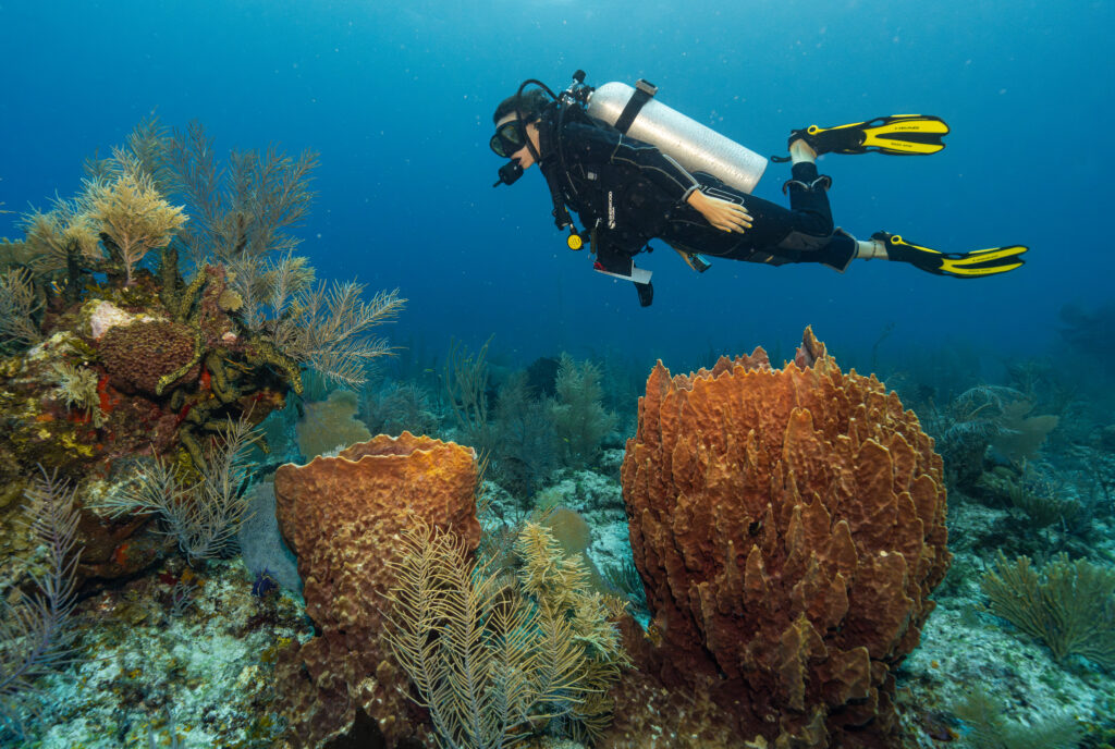 Belize Barrier Reef | Belize Attractions | Travel Belize