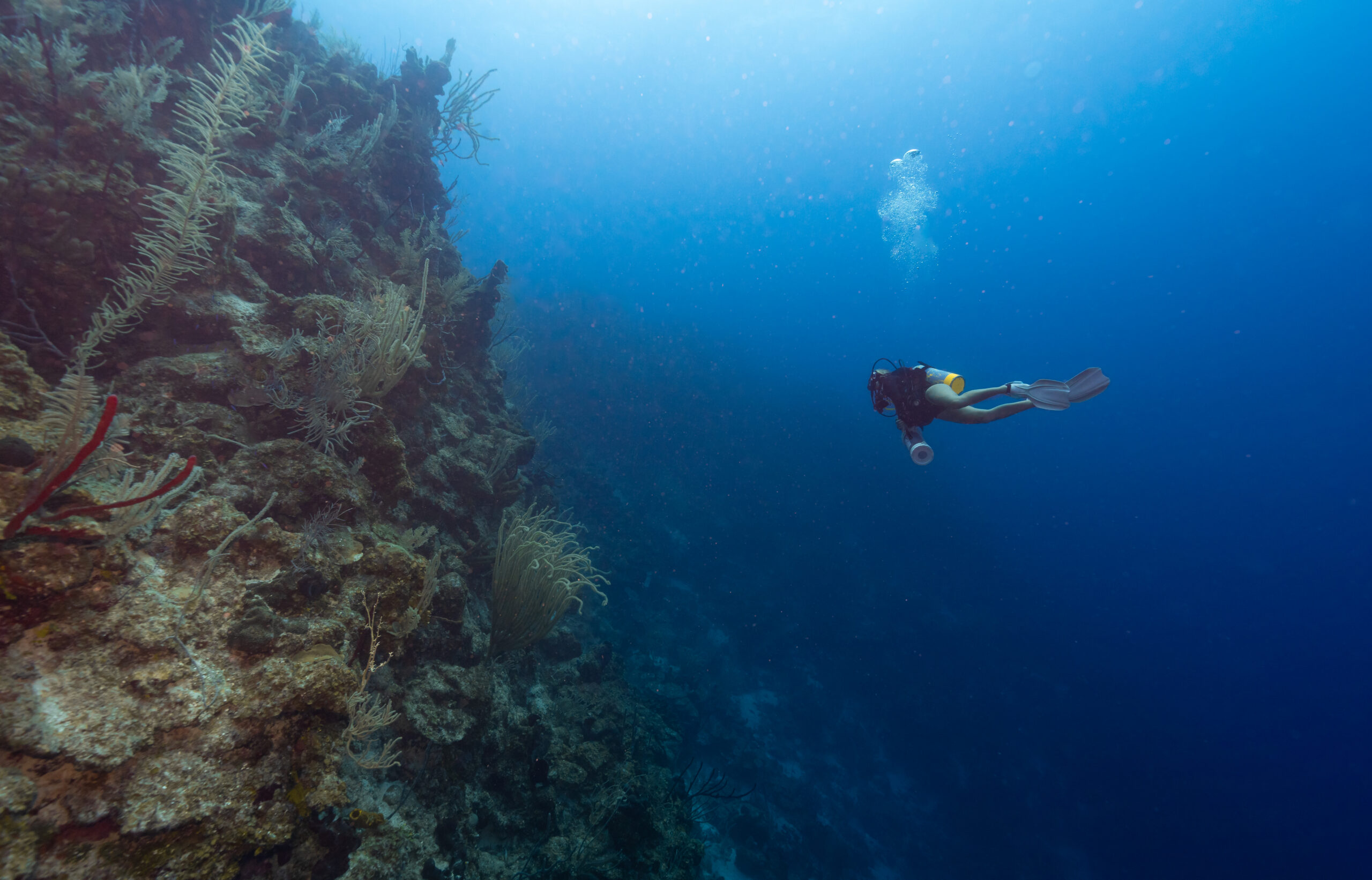 Glover’s Reef in Belize | Belize Marine Reserves | Travel Belize