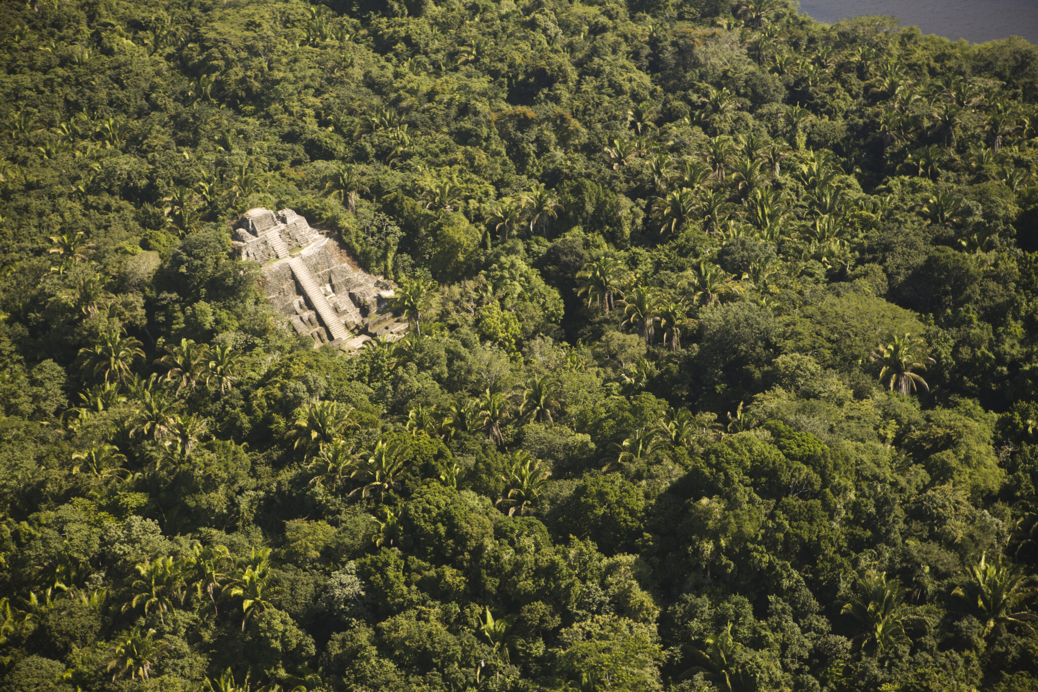 Lamanai Mayan Ruins & Temples | Travel Belize