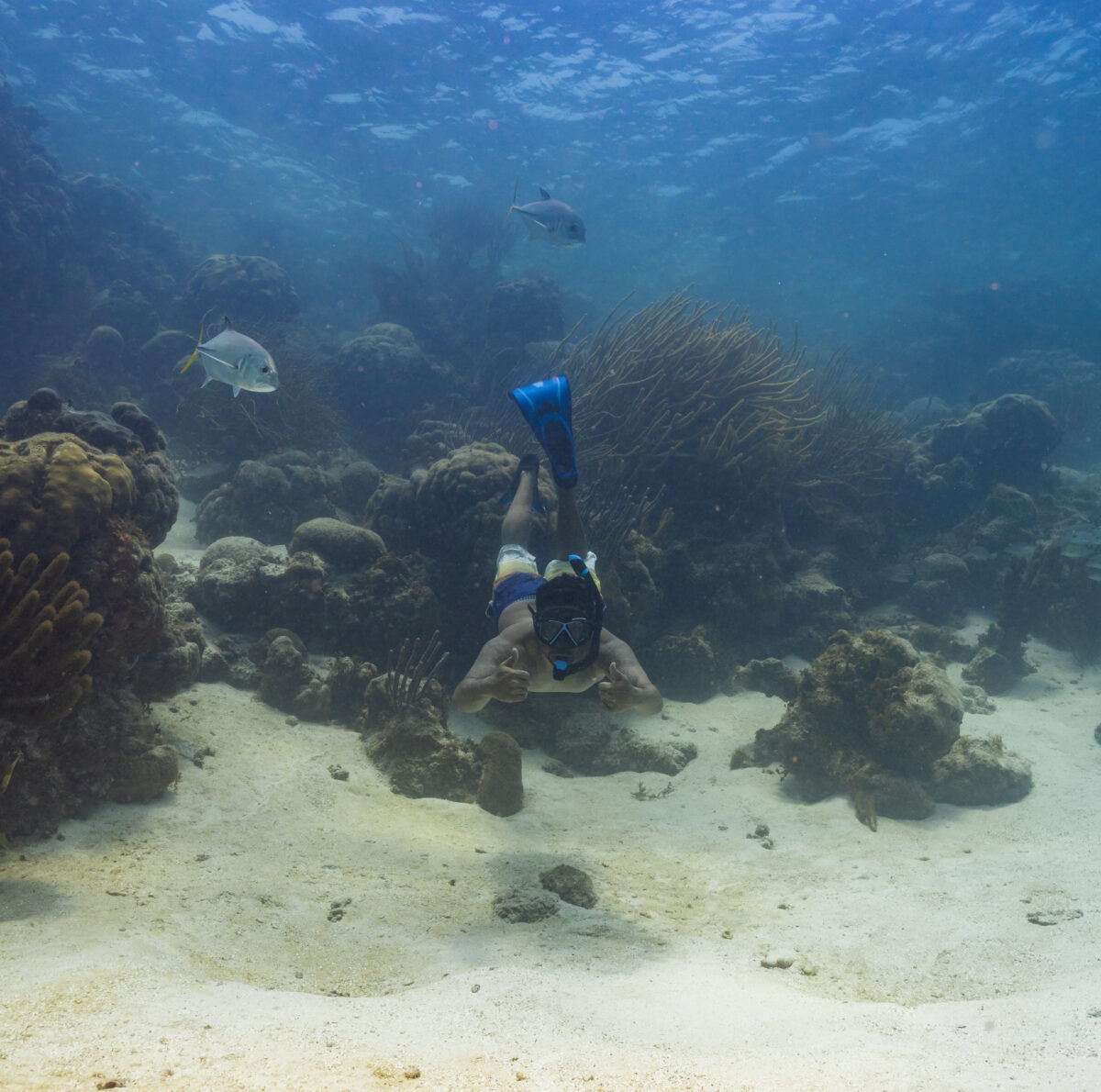 Hol Chan Marine Reserve | Snorkeling in Belize | Travel Belize