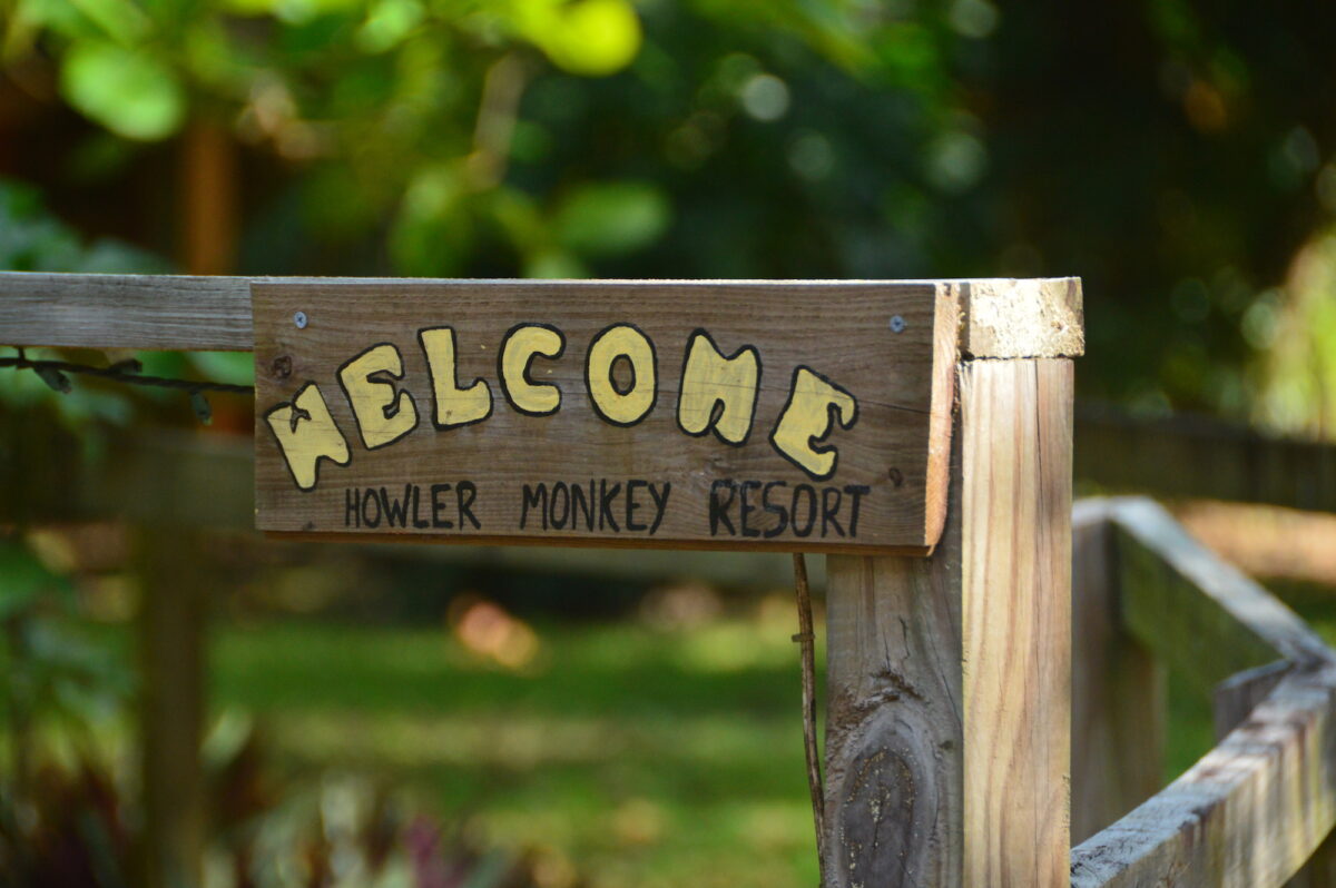 Howler Monkey Resort - Travel Belize