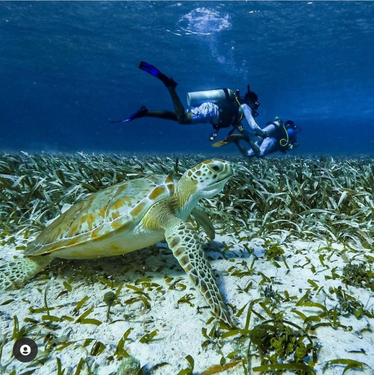 Learn Facts About Belize | Visit Belize | Traveling to Belize