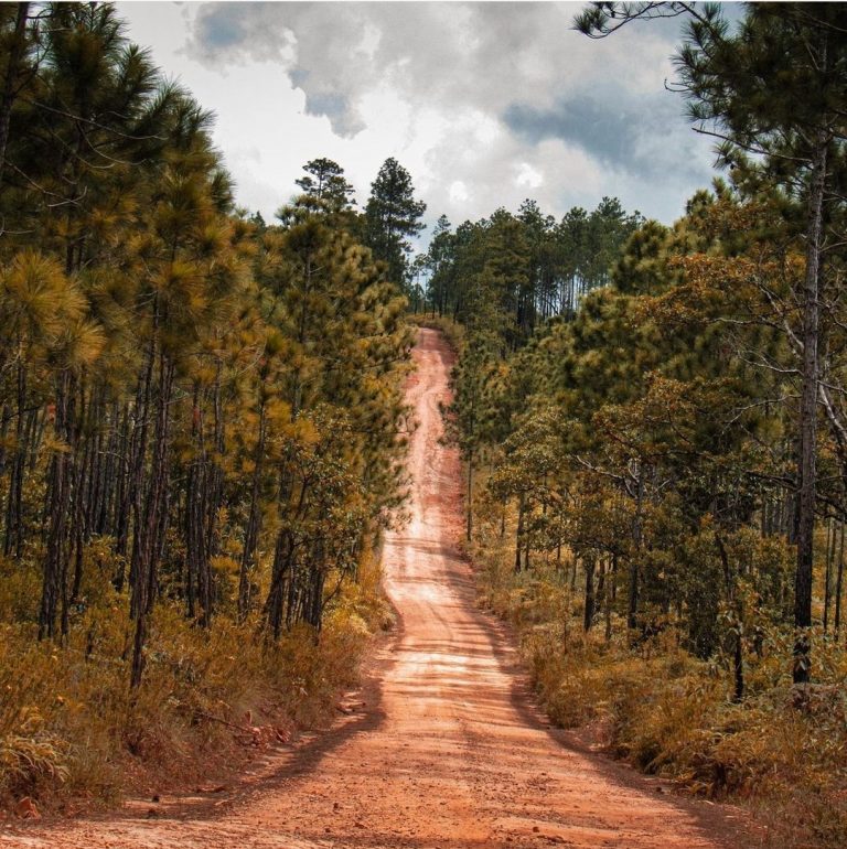 Learn Facts About Belize | Visit Belize | Traveling to Belize