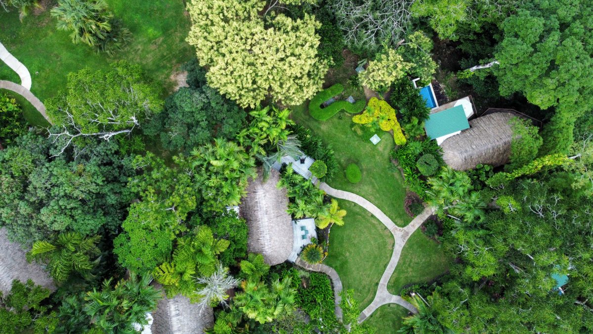 Eco-explorer Mario Rigby adventures in Belize, exploring its ancient ...