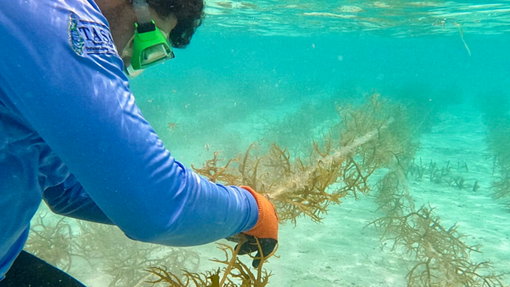 Things To Do - Travel Belize