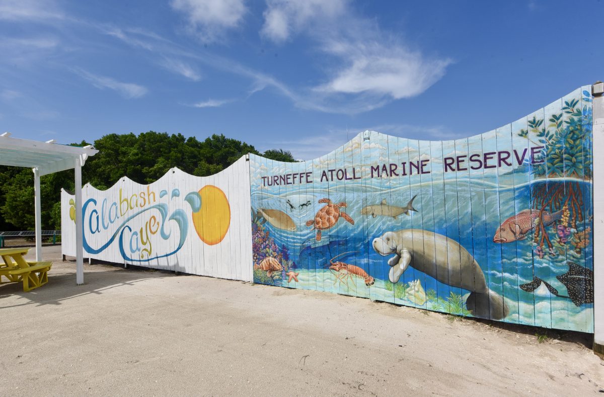 Why the Turneffe Atoll is a Must-Visit Destination - Travel Belize