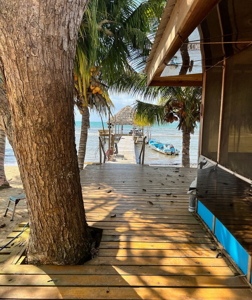 Monkey Beach Retreat Belize | Beachfront Wellness Retreat & Island ...
