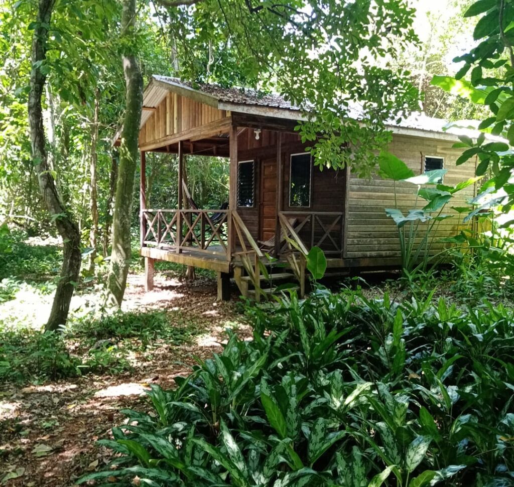 Parrot Nest Lodge Belice | Alojamiento en la selva y refugio ecológico ...