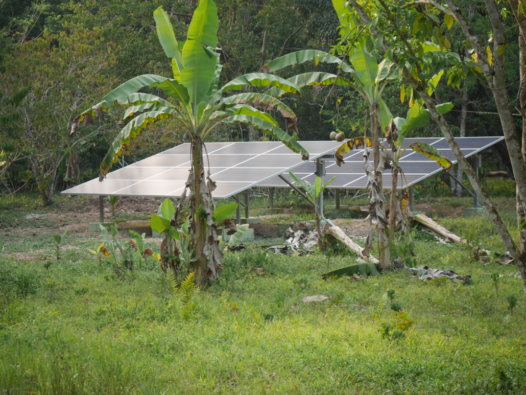 BFREE Belize | Rainforest Conservation, Research & Education Center ...