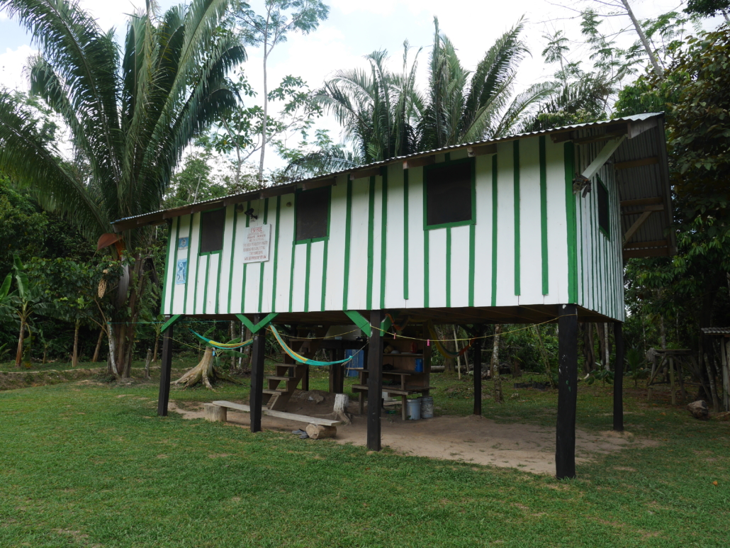 BFREE Belize | Rainforest Conservation, Research & Education Center ...