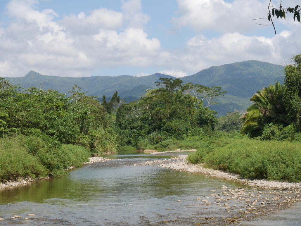BFREE Belize | Rainforest Conservation, Research & Education Center ...