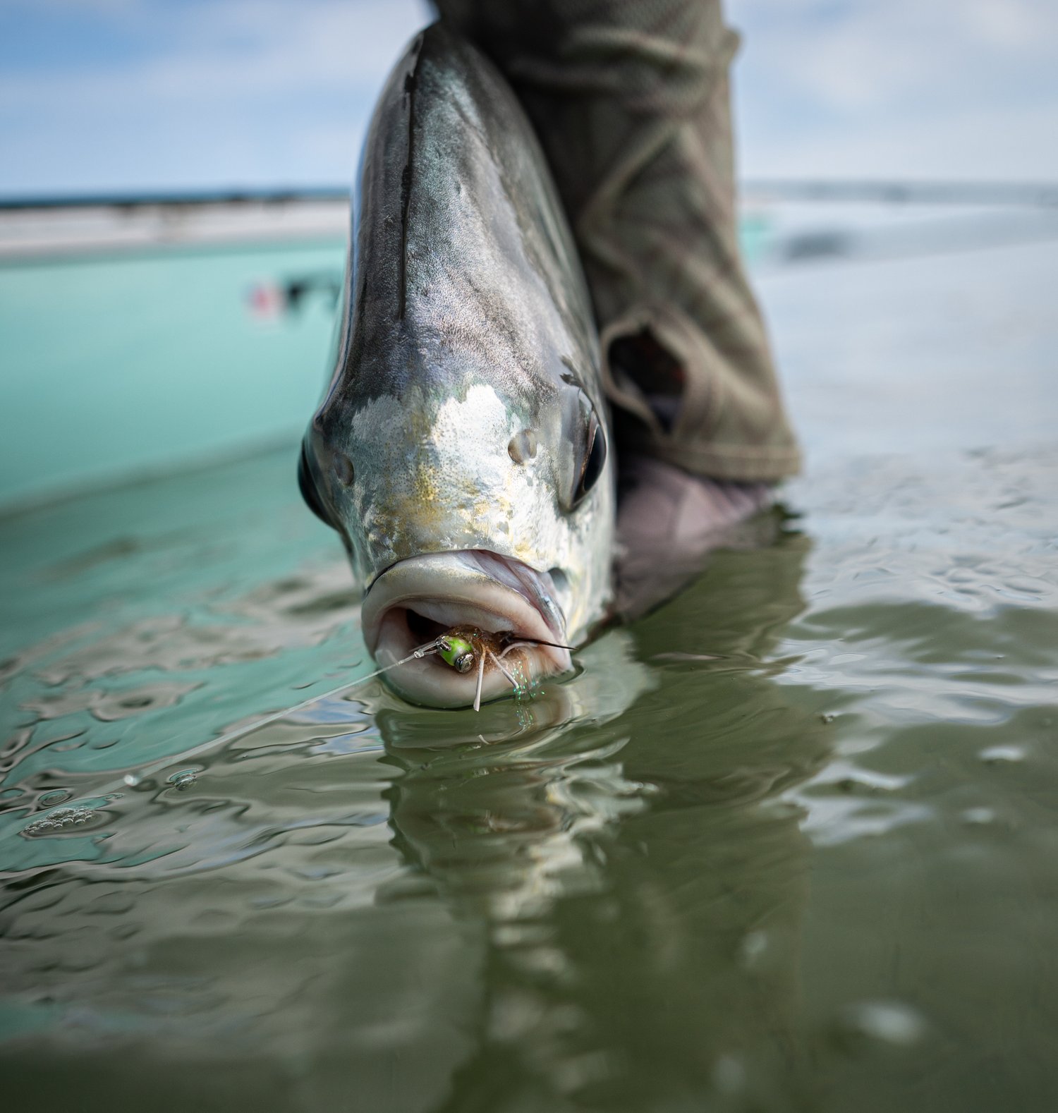 Cayo Frances Farm and Fly | Beachfront Cabins in Belize
