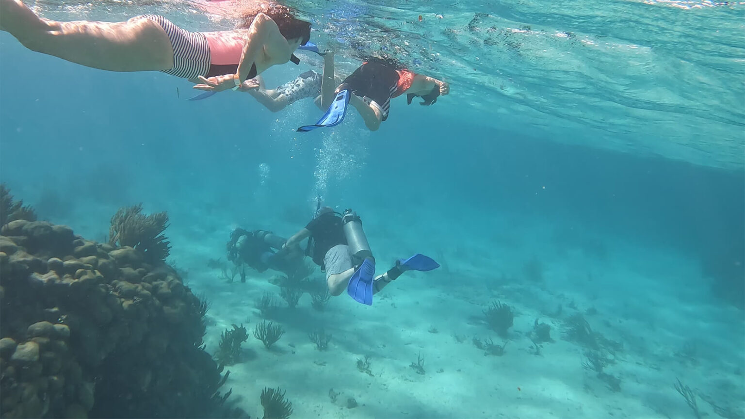 Action Divers Belize | Scuba Diving & Snorkeling Tours in Hopkins | English