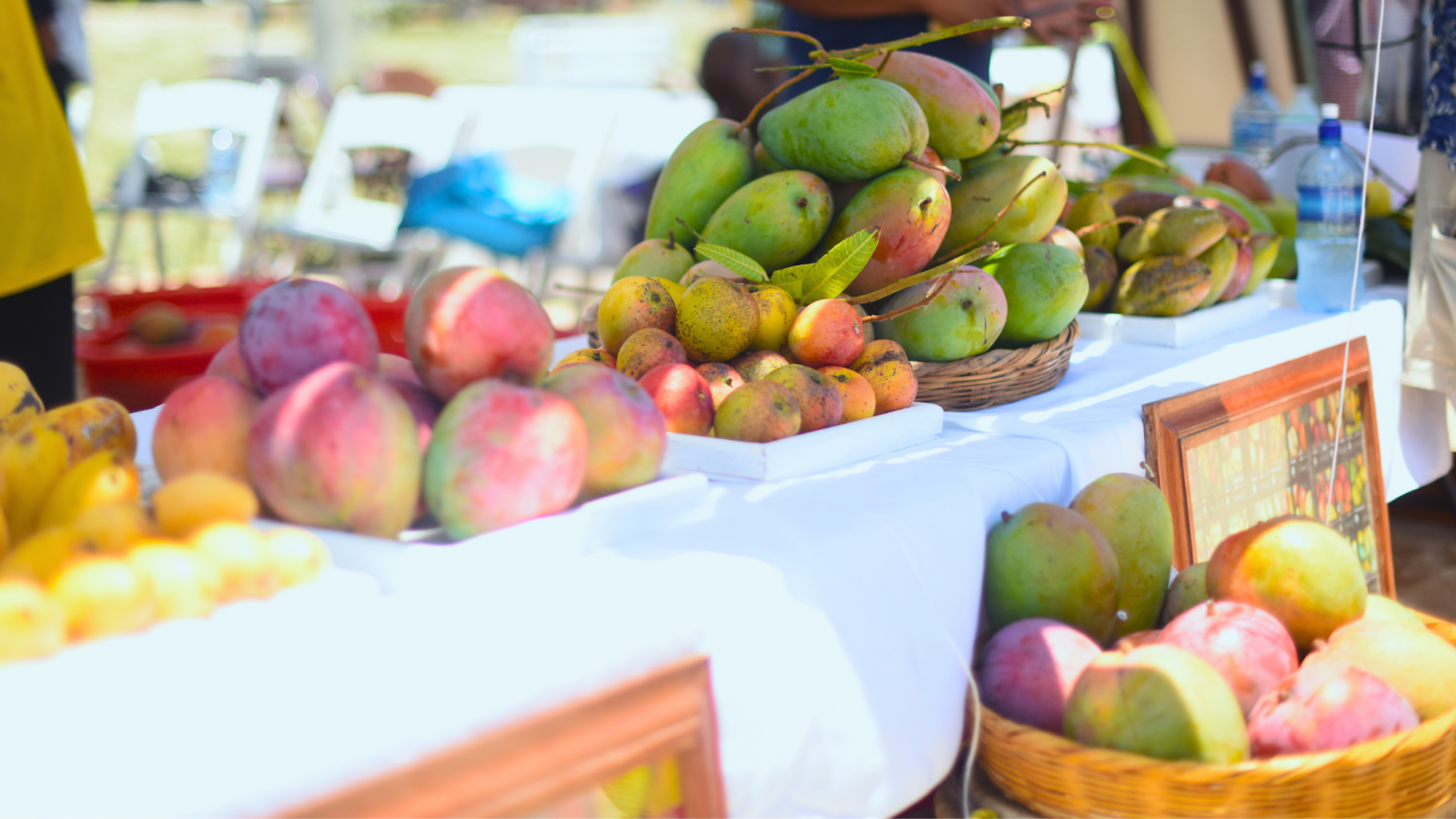 Genießen Sie die Süße der Mangosaison in Belize