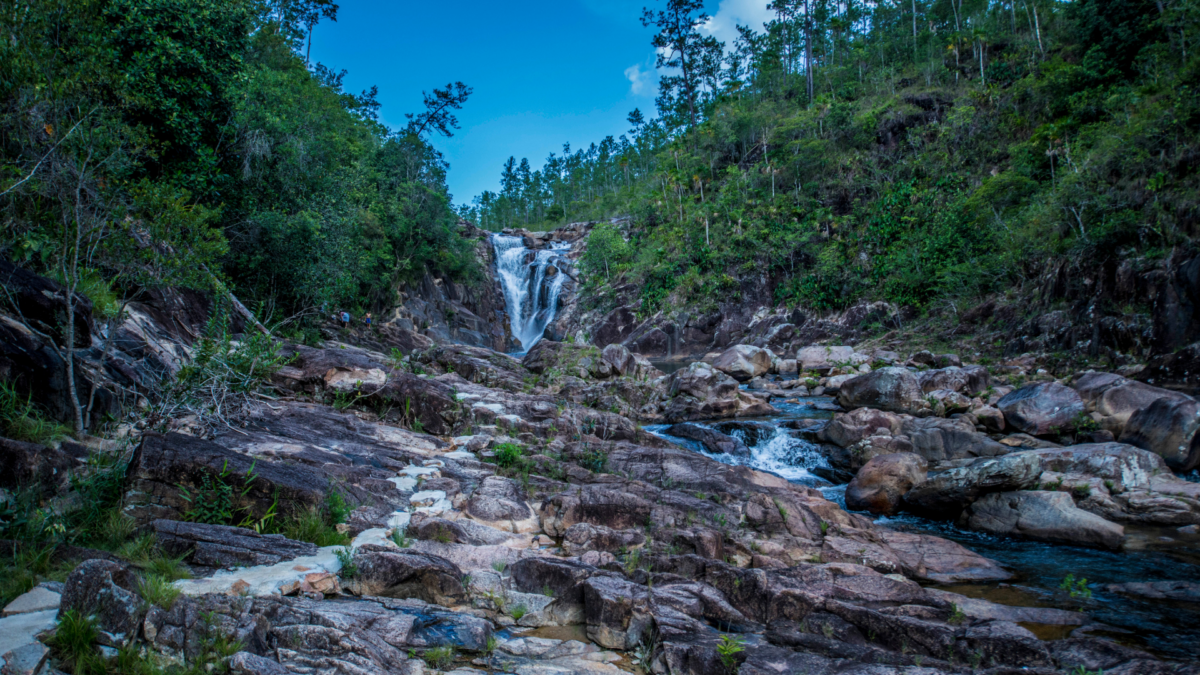 Exploración familiar en la Reserva Forestal de Mountain Pine Ridge