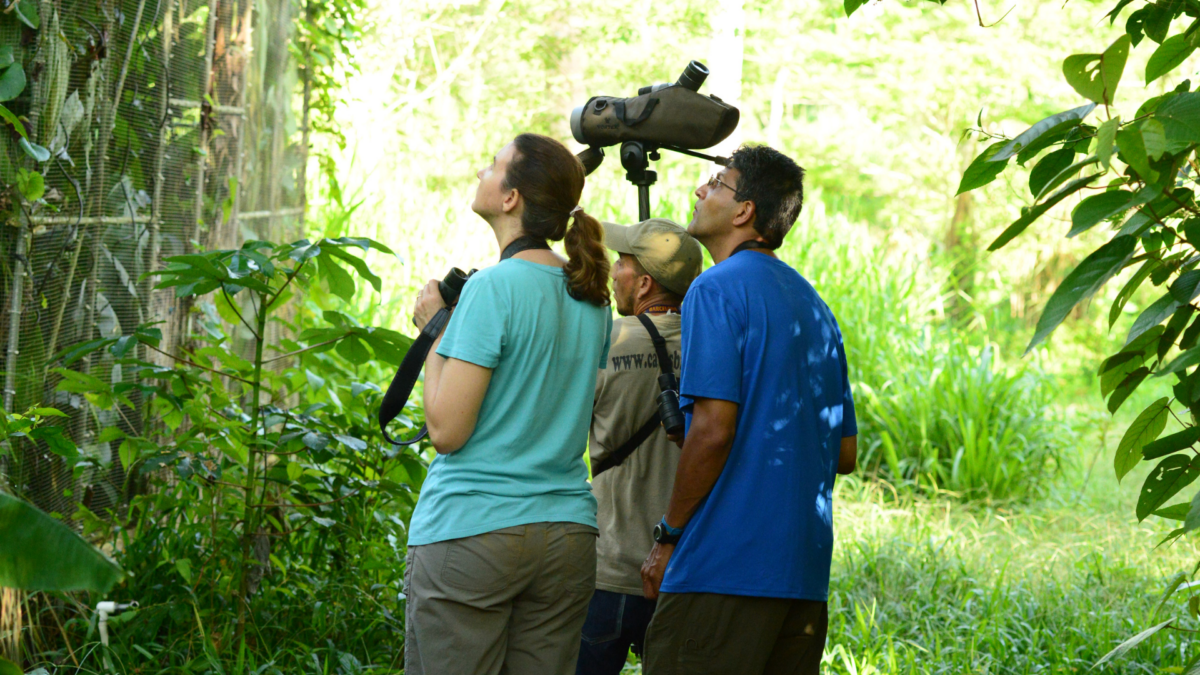 Punta Gorda | Things to Do in Punta Gorda | Travel Belize