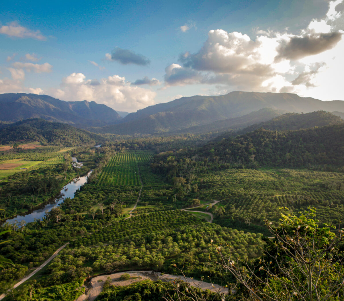 Blog | Support Belize Sustainable Tourism Efforts | Visit Belize