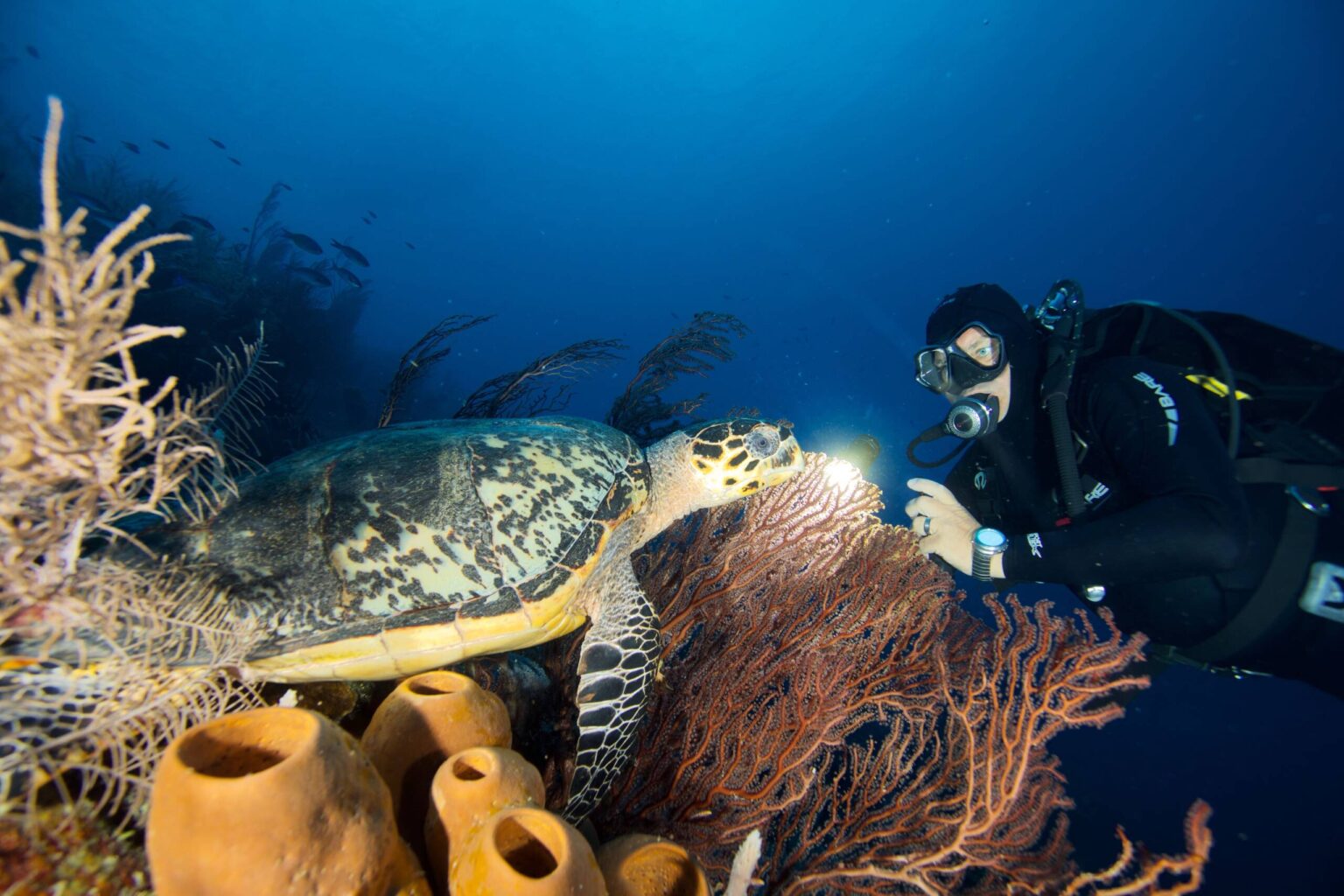 3 Ways to See Belize's Natural Beauty in a New Light - Travel Belize